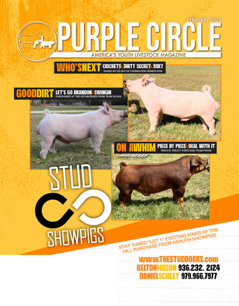 Online Issues » Purple Circle Magazine